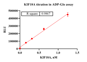 KIF18A - Other Protein - ICE Bioscience - Protein platform